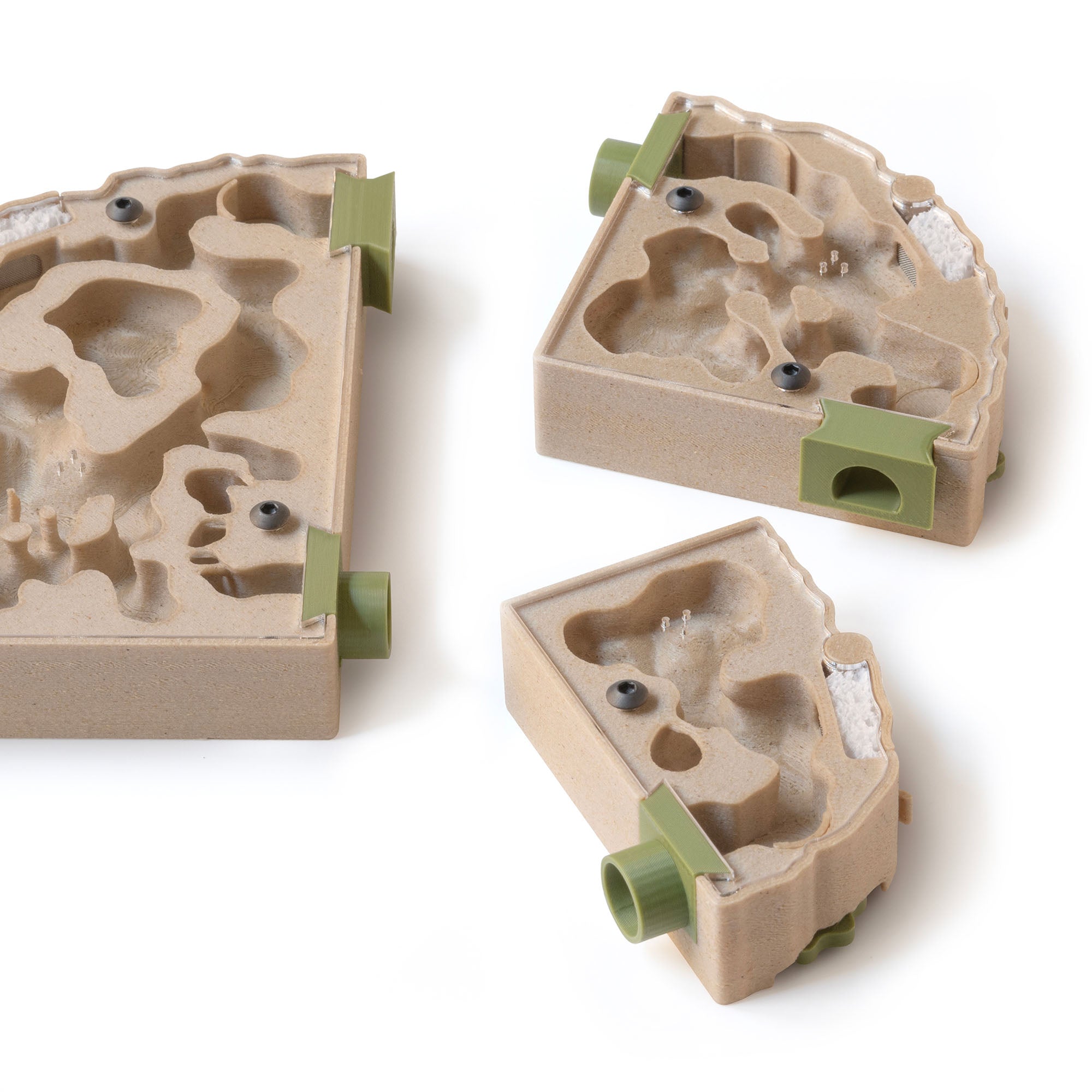 Ant Buyer's Guide – AntKeepers