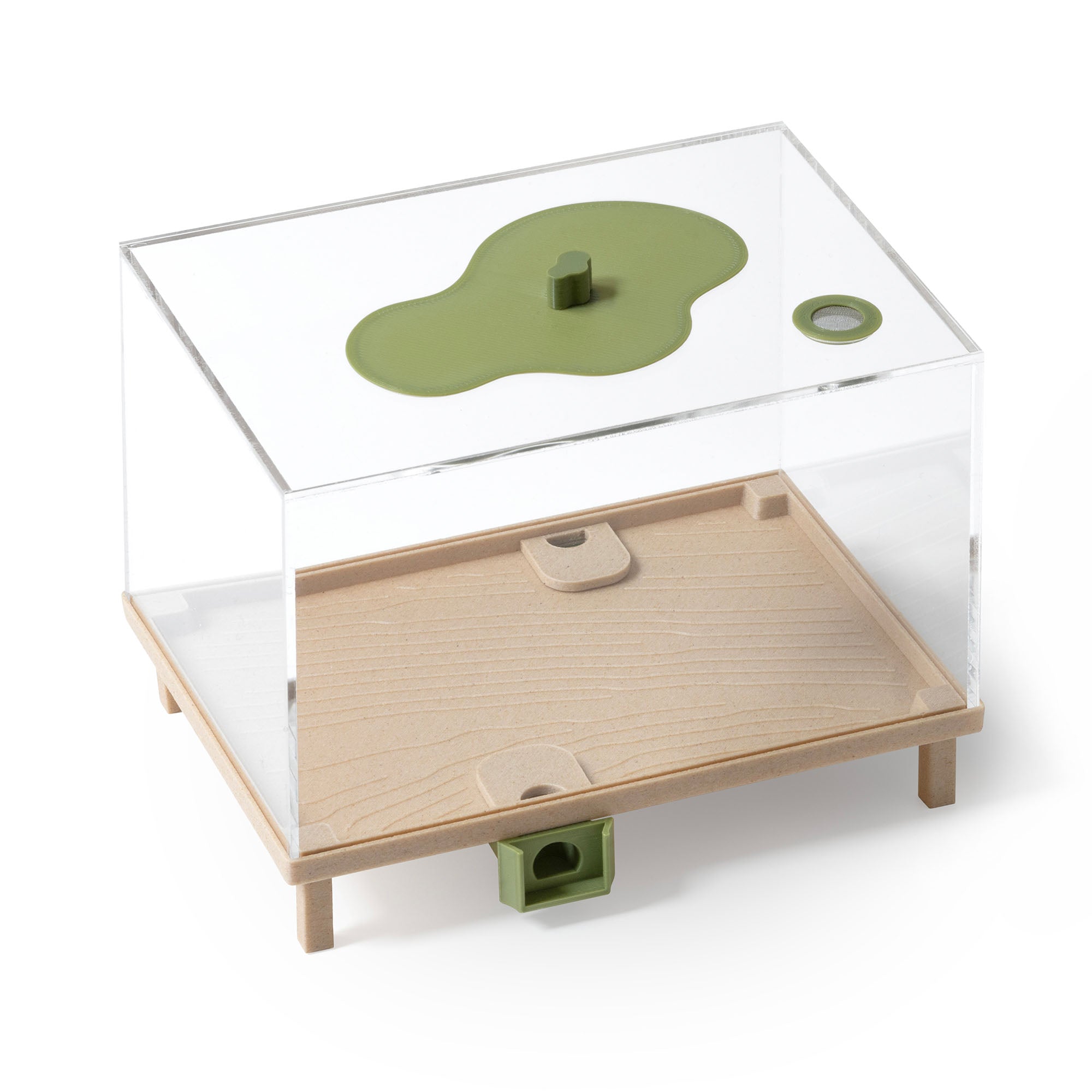 Ant Buyer's Guide – AntKeepers