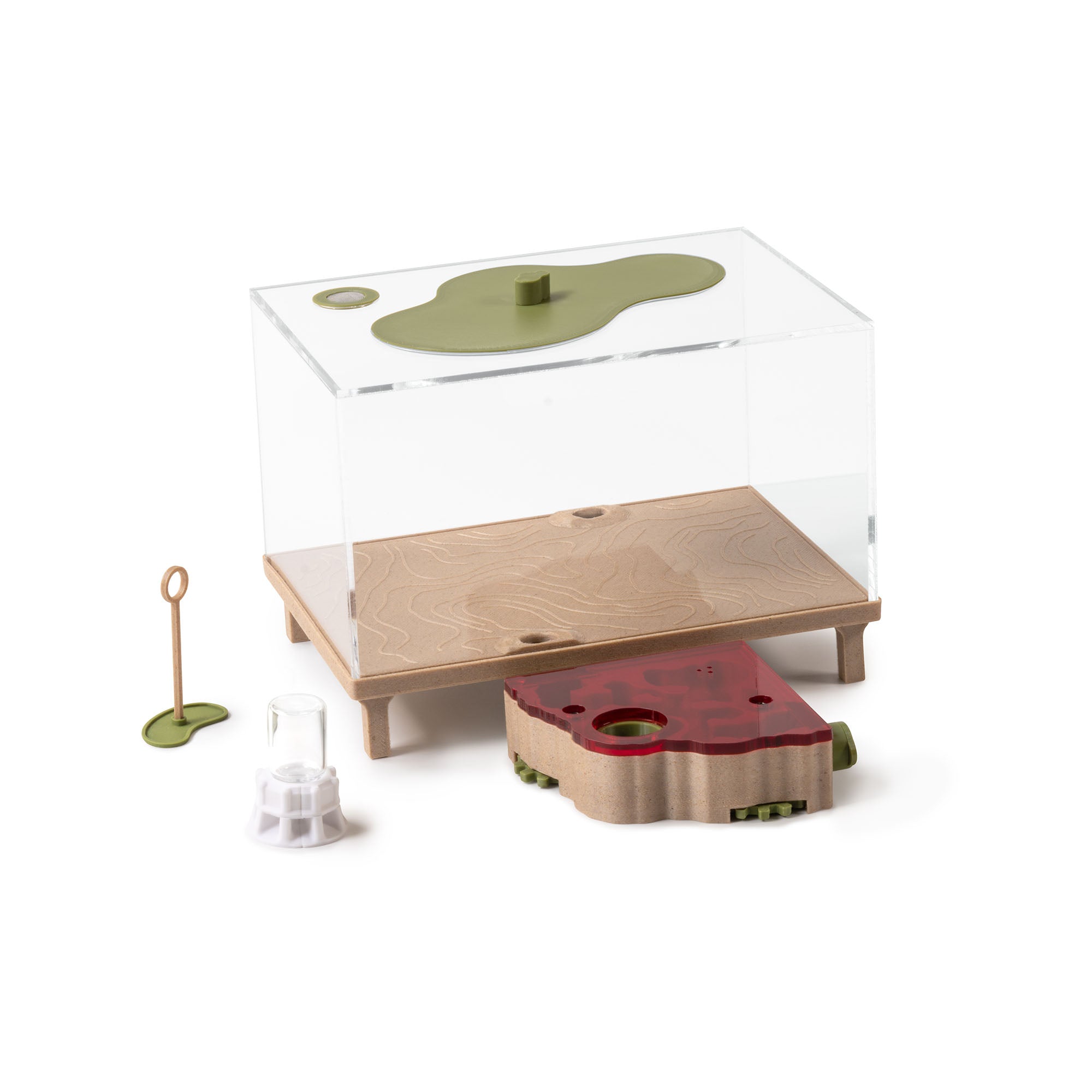 BLACK FRIDAY – AntKeepers