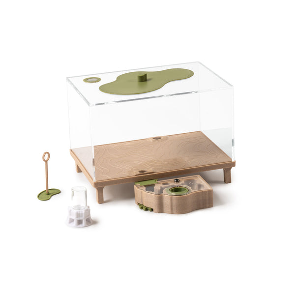 Starter packs for Antkeeping | AntKeepers