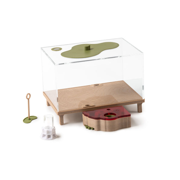 Starter packs for Antkeeping | AntKeepers